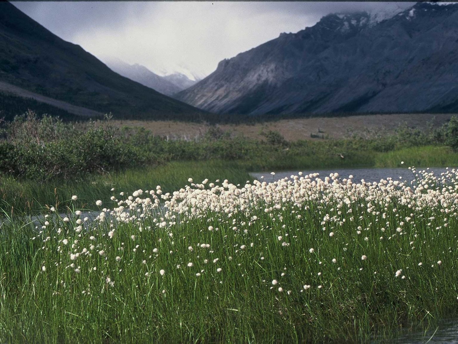 Champagne & Aishihik First Nations | Legacy Tourism Group